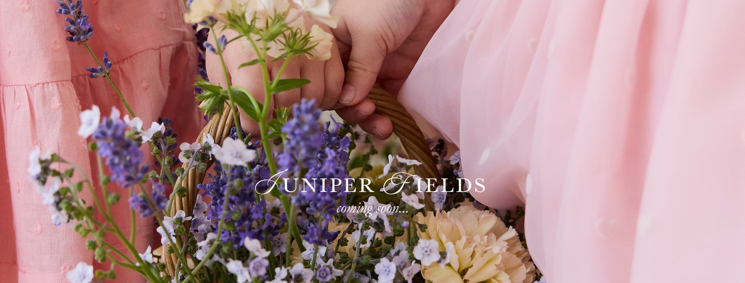 Juniper Fields Collection - January 2026 Lookbook – Jamie Kay Wholesale